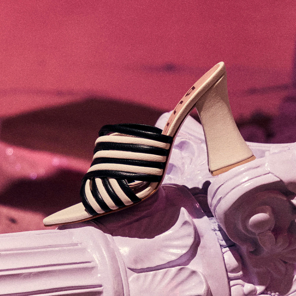 ZAPATOS – Butrich Worldwide